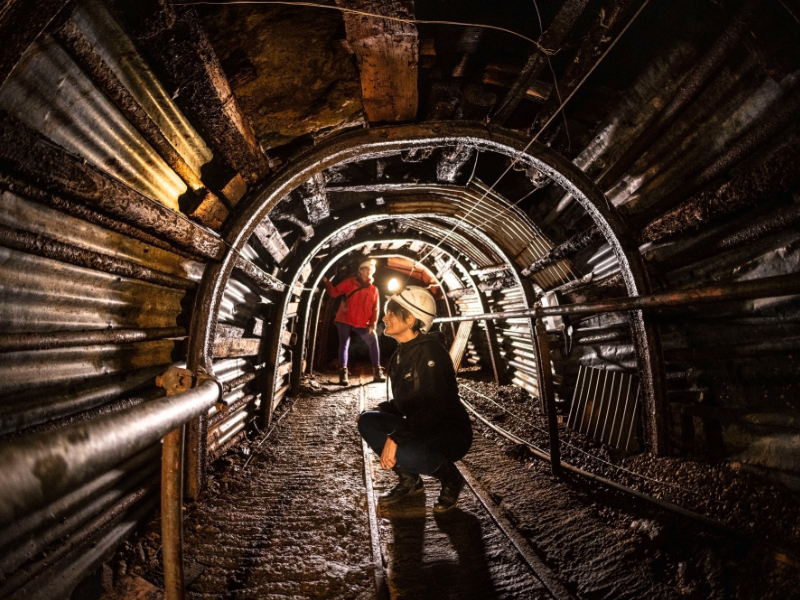 Visitor+ Crafts, Food & Drink in the Forest of Dean