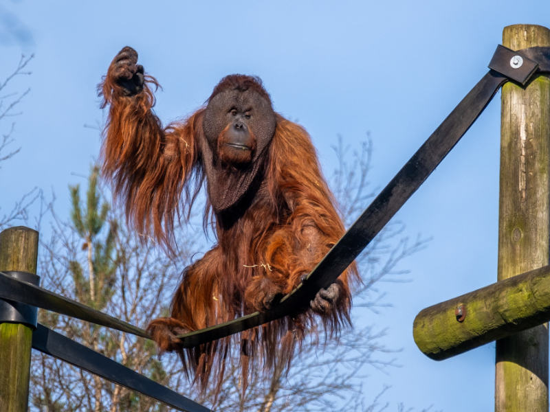 Visitor+ Amazing Coastal Breaks in The UK